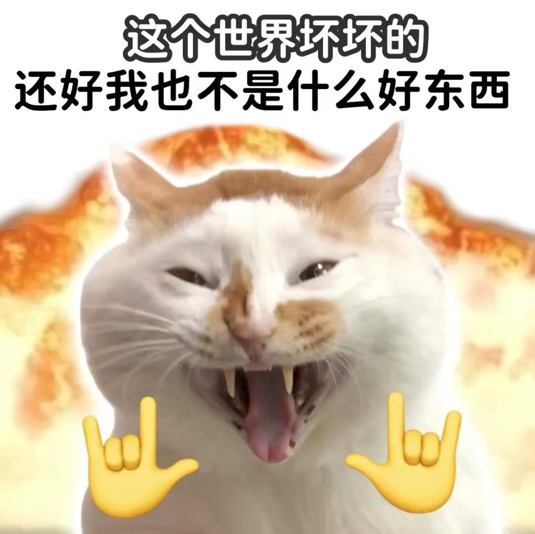 How China’s LLM “Open-Source Boom” Masks a Historical Lag | Siluy's Blog:)